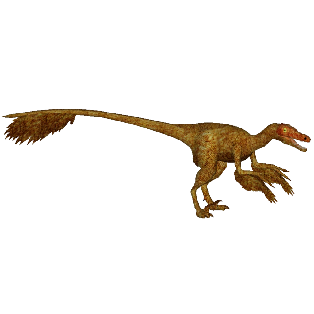 Variraptor