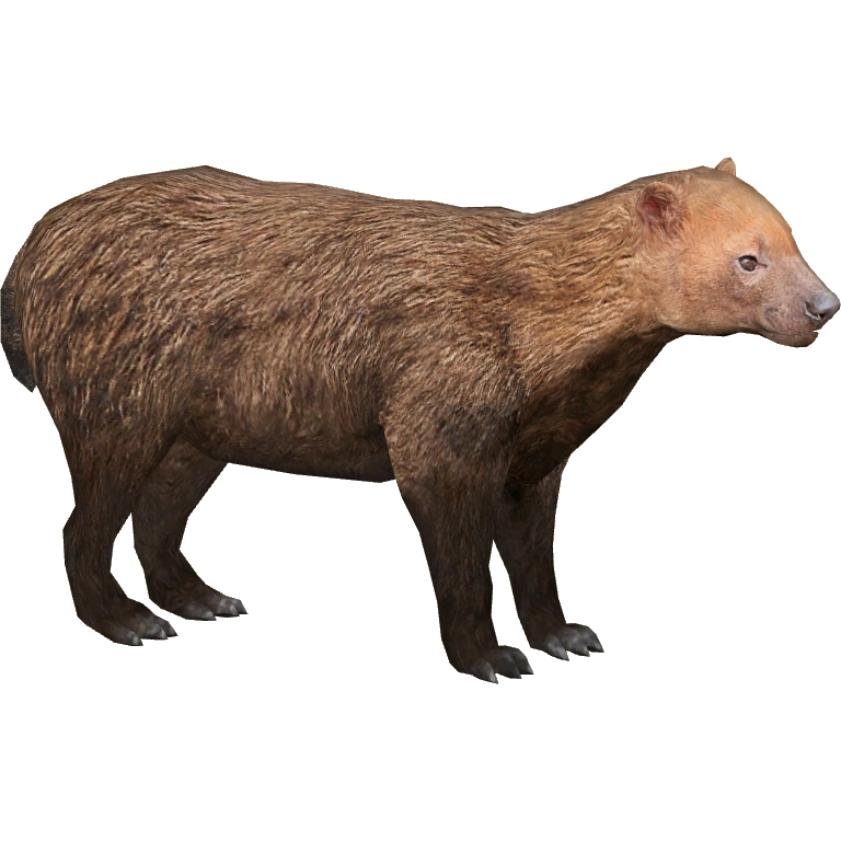 Bush Dog (Ignacio & Lights) | ZT2 Download Library Wiki | Fandom