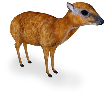 Greater Mouse-deer (ZTABC Team) | ZT2 Download Library Wiki | Fandom