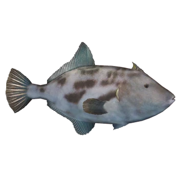 Black Scraper (Thom) | ZT2 Download Library Wiki | Fandom