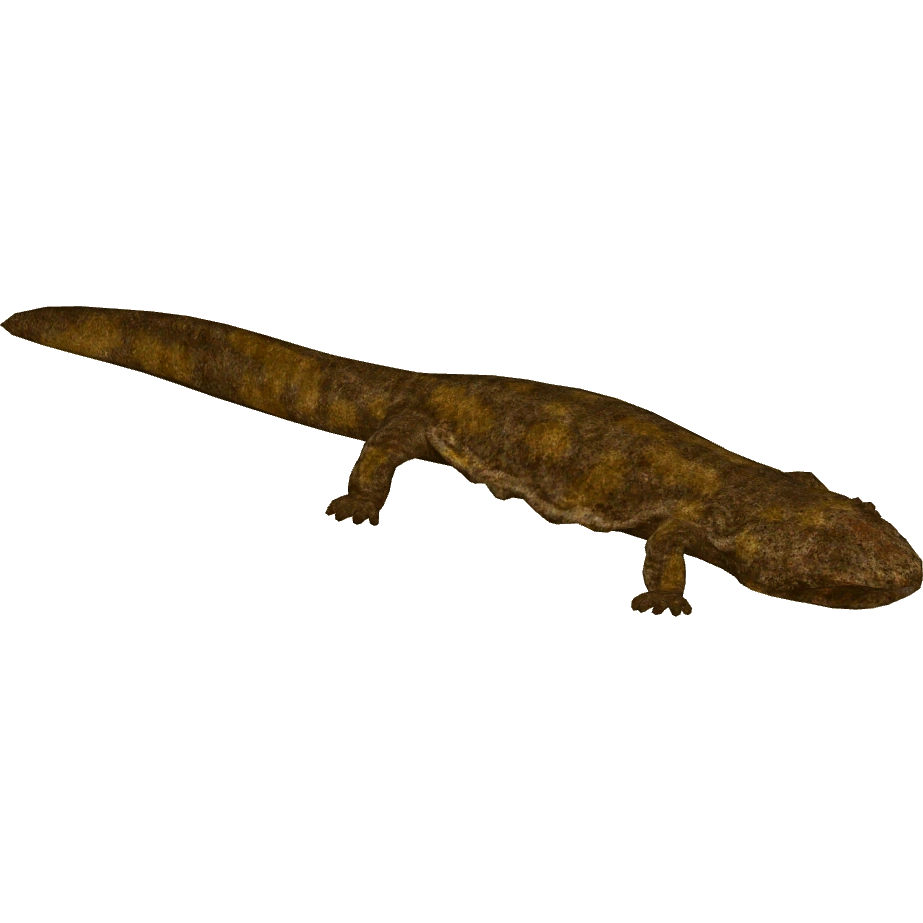 Hellbender (Jules & Rafael) | ZT2 Download Library Wiki | Fandom