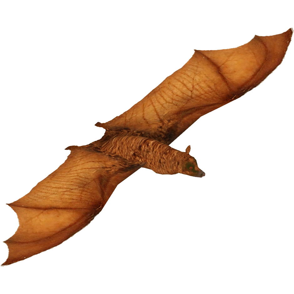 Fijian Monkey-Faced bat (Tamara Henson) | ZT2 Download Library Wiki | Fandom