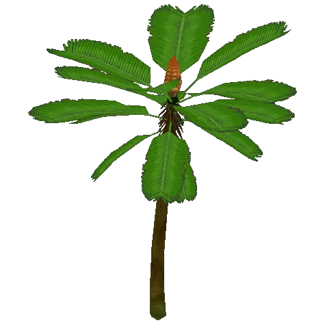 Leptocycas (The Restorers) | ZT2 Download Library Wiki | Fandom