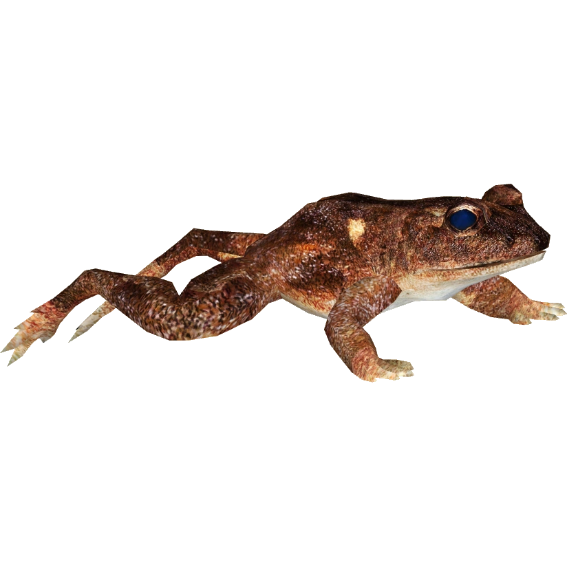 Fiji Ground Frog (MasterChief123) | ZT2 Download Library Wiki | Fandom