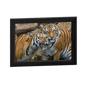 Framed Pictures (Zeta-Designs) | ZT2 Download Library Wiki | Fandom