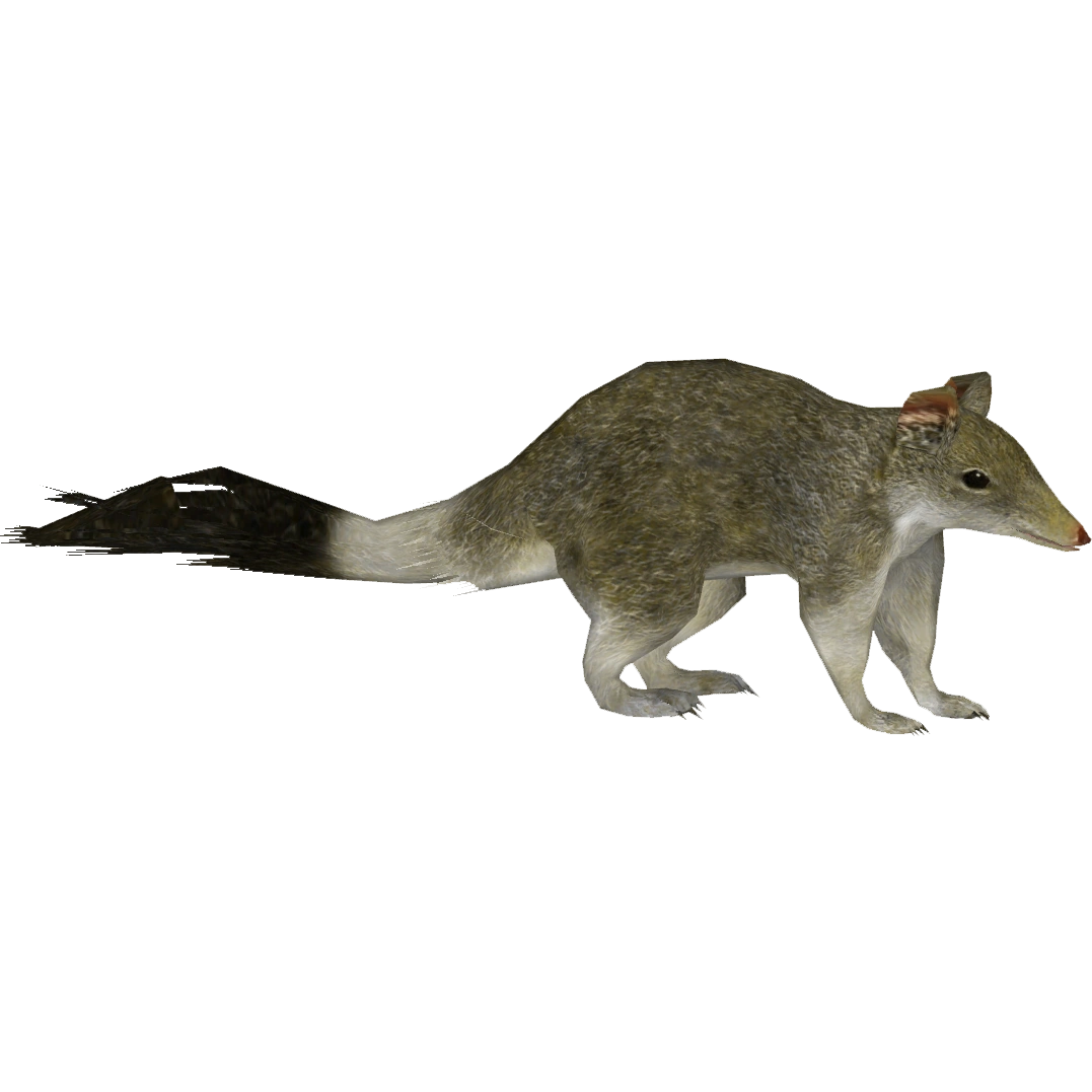 Kowari (Tamara Henson) | ZT2 Download Library Wiki | Fandom