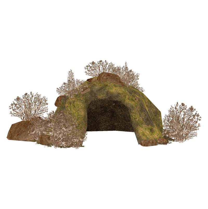 Savannah Burrows (ZTABC Team) | ZT2 Download Library Wiki | Fandom