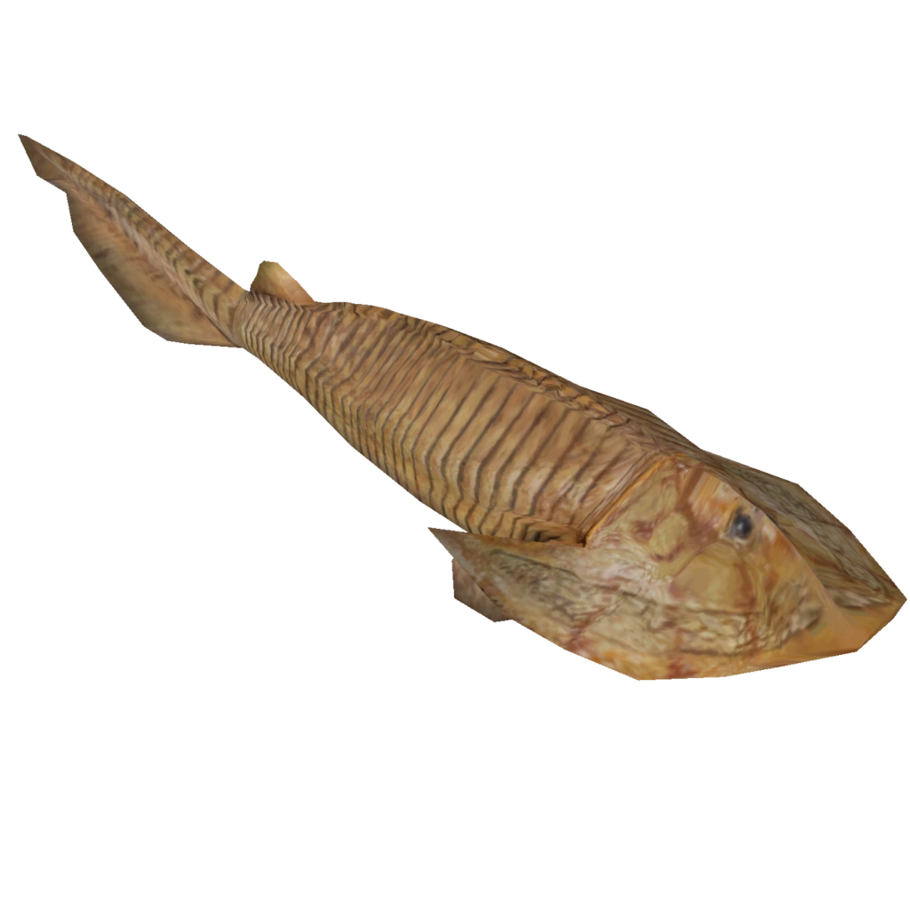 Cephalaspis (Imago) | ZT2 Download Library Wiki | Fandom
