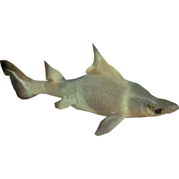 Angular Roughshark (Hispa Designs) | ZT2 Download Library Wiki | Fandom