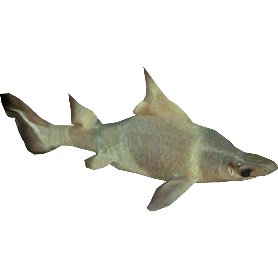 Angular Roughshark (Hispa Designs) | ZT2 Download Library Wiki | Fandom