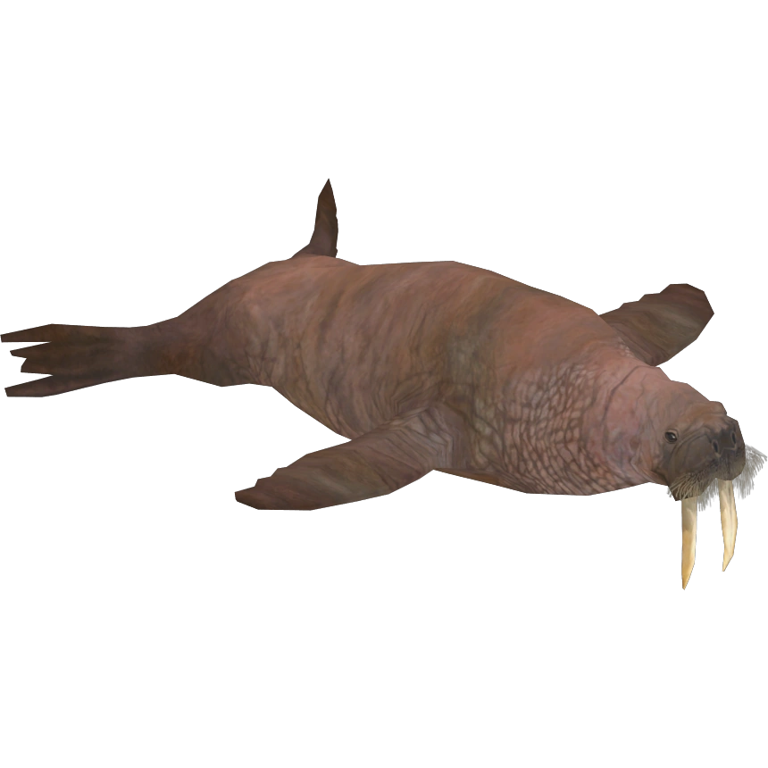 Pacific Walrus (Buffzoo) | ZT2 Download Library Wiki | Fandom