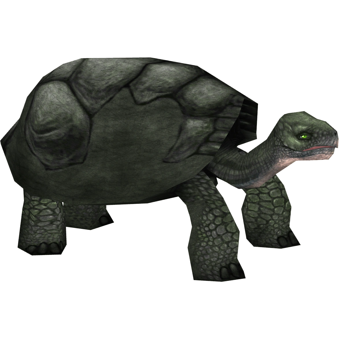 Toraton (Q D) | ZT2 Download Library Wiki | Fandom