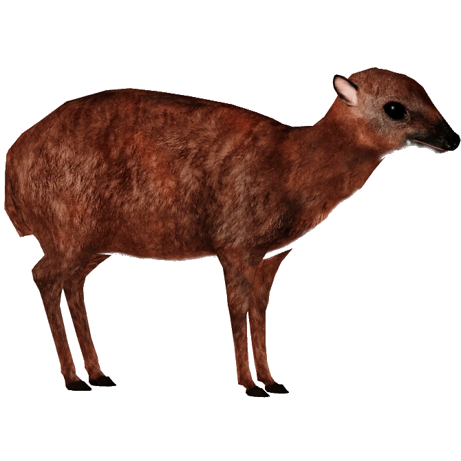 Bate's Pygmy Antelope (Zoo Tycooner FR) | ZT2 Download Library Wiki ...