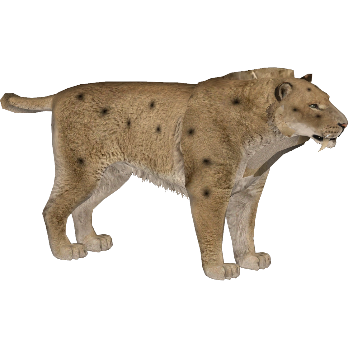 Southern Saber-toothed Cat (Palaeoloxodon28) | ZT2 Download Library ...