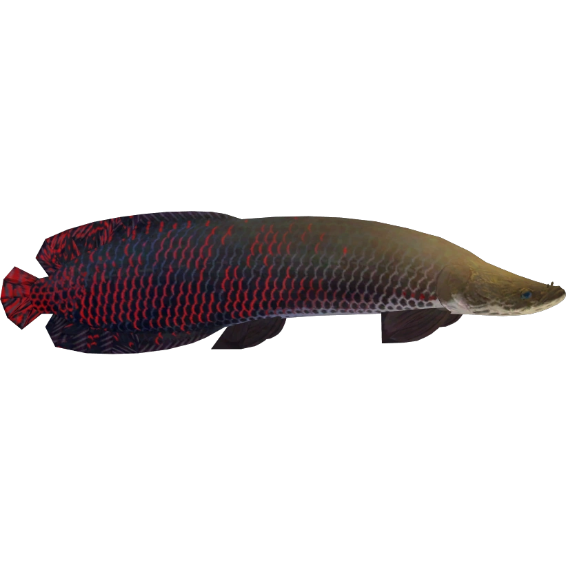 Arapaima (Buffzoo & Thom) | ZT2 Download Library Wiki | Fandom