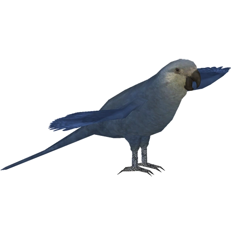 Spix's Macaw (ZTABC Team) | ZT2 Download Library Wiki | Fandom