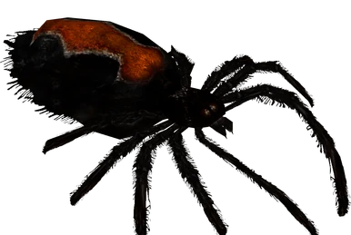 Mongolarachne Jurassica