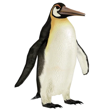 Kupoupou (Demon Hunter) | ZT2 Download Library Wiki | Fandom