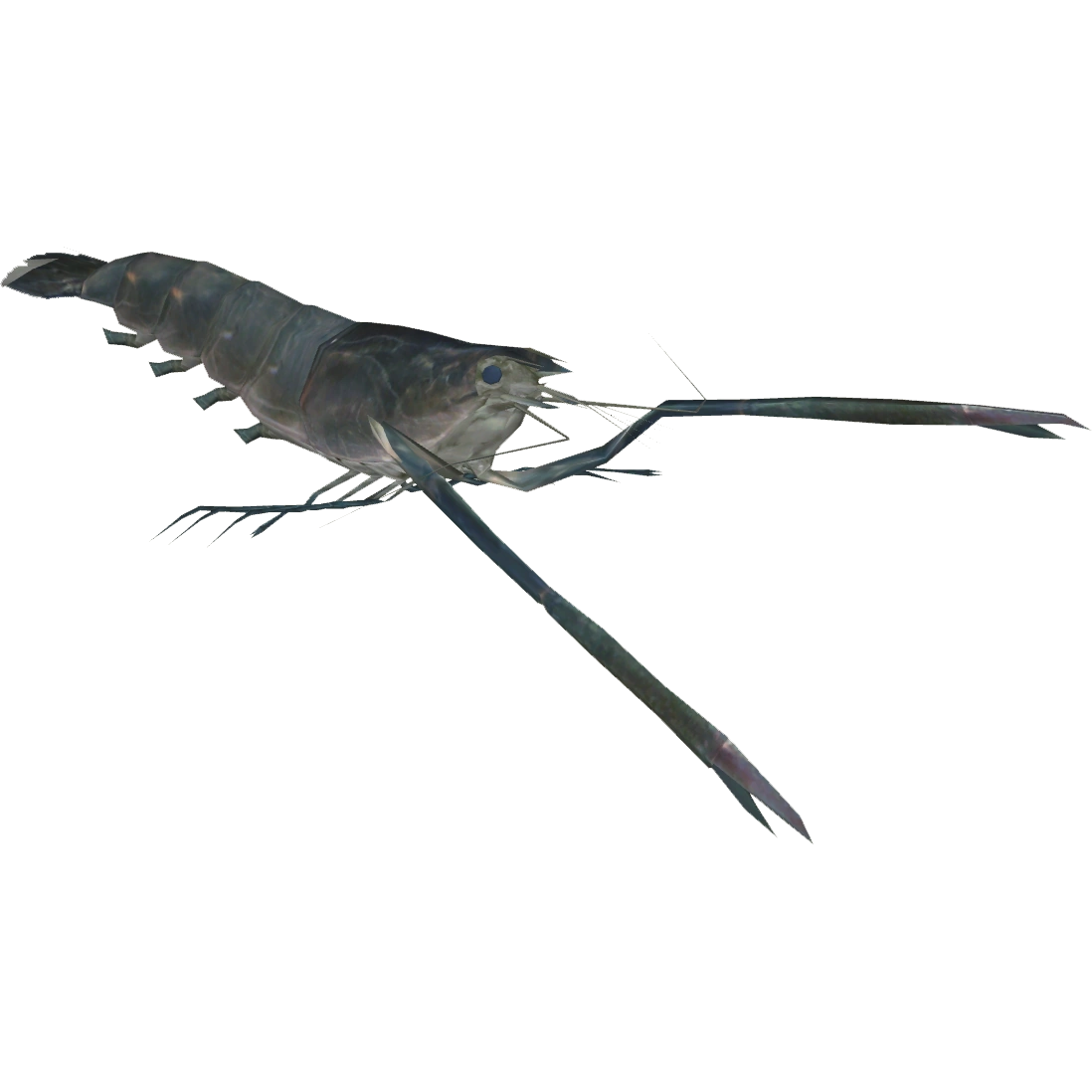 Scenery Freshwater Prawn (Dycki1231) | ZT2 Download Library Wiki | Fandom