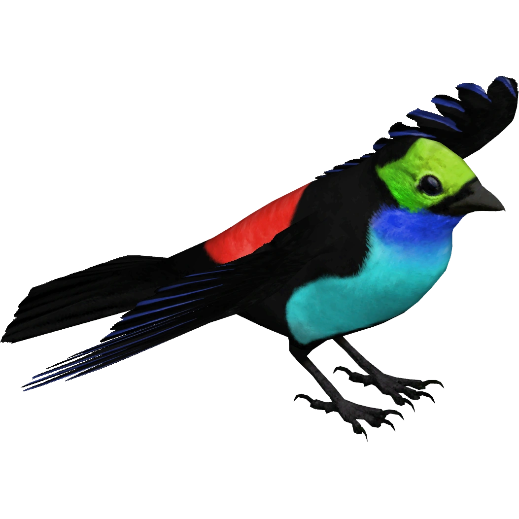 Paradise Tanager (Bunteriro) | ZT2 Download Library Wiki | Fandom