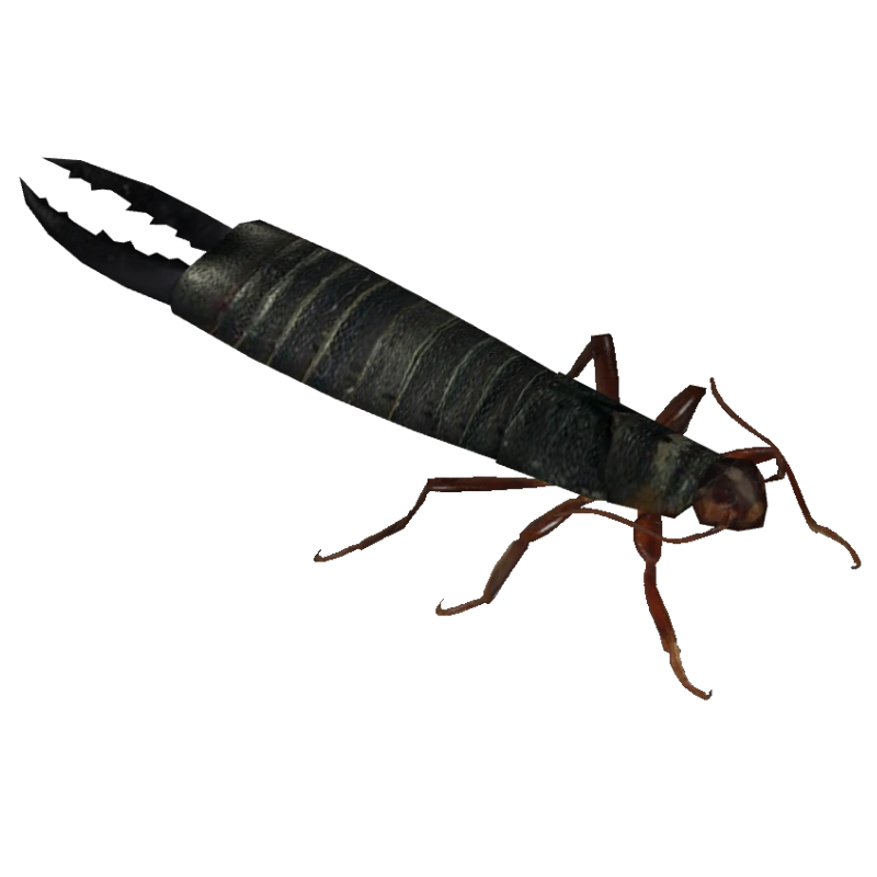 Saint Helena Giant Earwig (Ulquiorra) | ZT2 Download Library Wiki | Fandom
