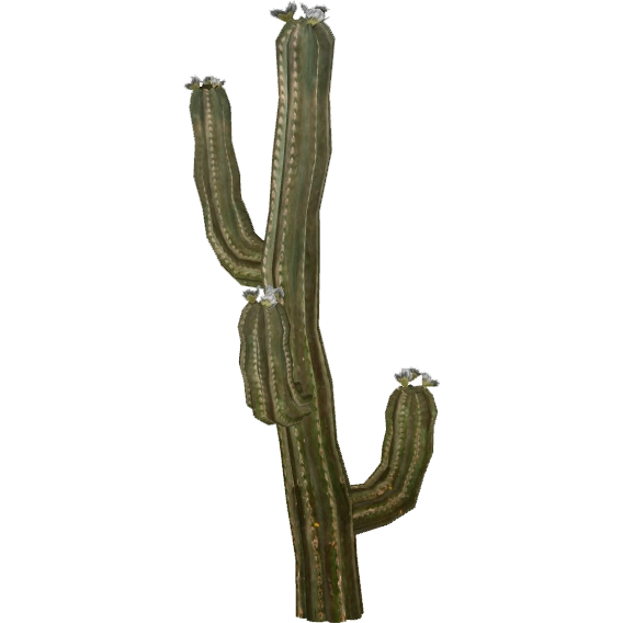 Cacti (Feral Designs) | ZT2 Download Library Wiki | Fandom