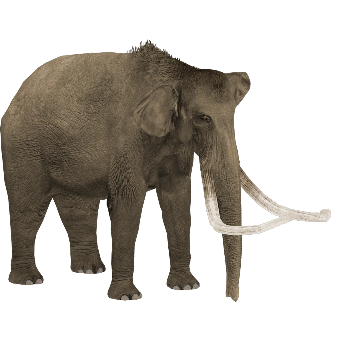 South African Mammoth (Demon Hunter) | ZT2 Download Library Wiki | Fandom