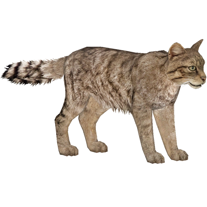 European Wildcat (HENDRIX) | ZT2 Download Library Wiki | Fandom