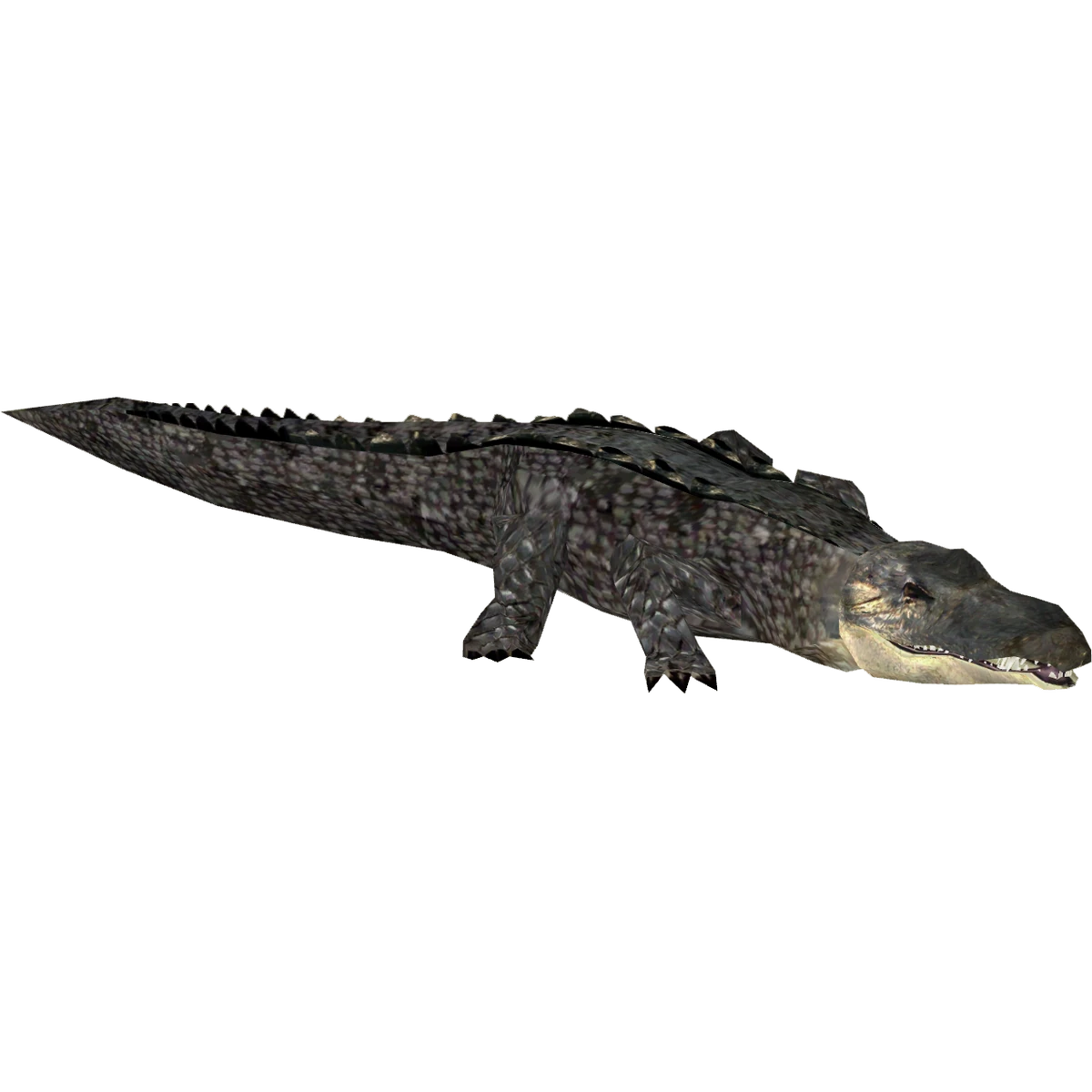 American Alligator (Worldwide Designers United) | ZT2 Download Library ...