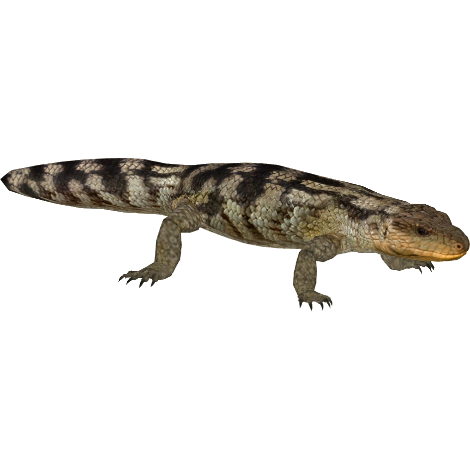 Blotched Blue-tongued Lizard (MiBound) | ZT2 Download Library Wiki | Fandom