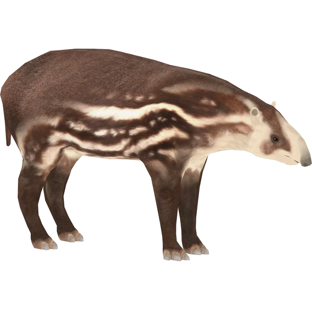 Heptodon (Demon Hunter) | ZT2 Download Library Wiki | Fandom