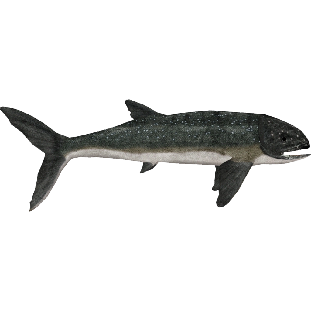 Leedsichthys (Bunyupy) | ZT2 Download Library Wiki | Fandom