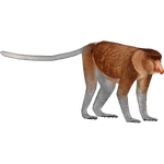 Category:Old World Monkeys | ZT2 Download Library Wiki | Fandom