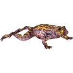 Category:Frogs & Toads | ZT2 Download Library Wiki | Fandom