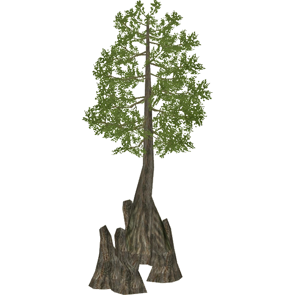 Swamp Cypress (Zeta-Designs) | ZT2 Download Library Wiki | Fandom