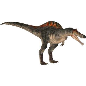 Angaturama (Braq) | ZT2 Download Library Wiki | Fandom