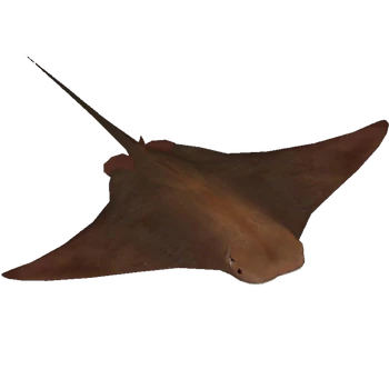 Cownose Ray (Ulquiorra) | ZT2 Download Library Wiki | Fandom