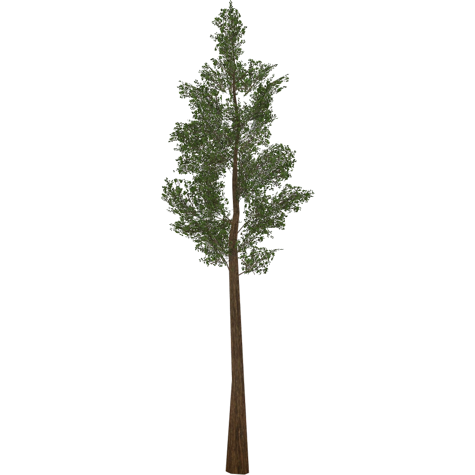 Cretaceous Trees
