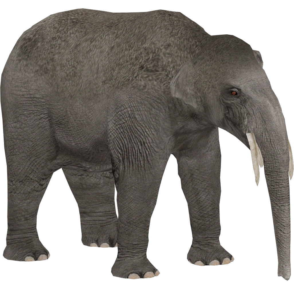 Eozygodon (Demon Hunter) | ZT2 Download Library Wiki | Fandom