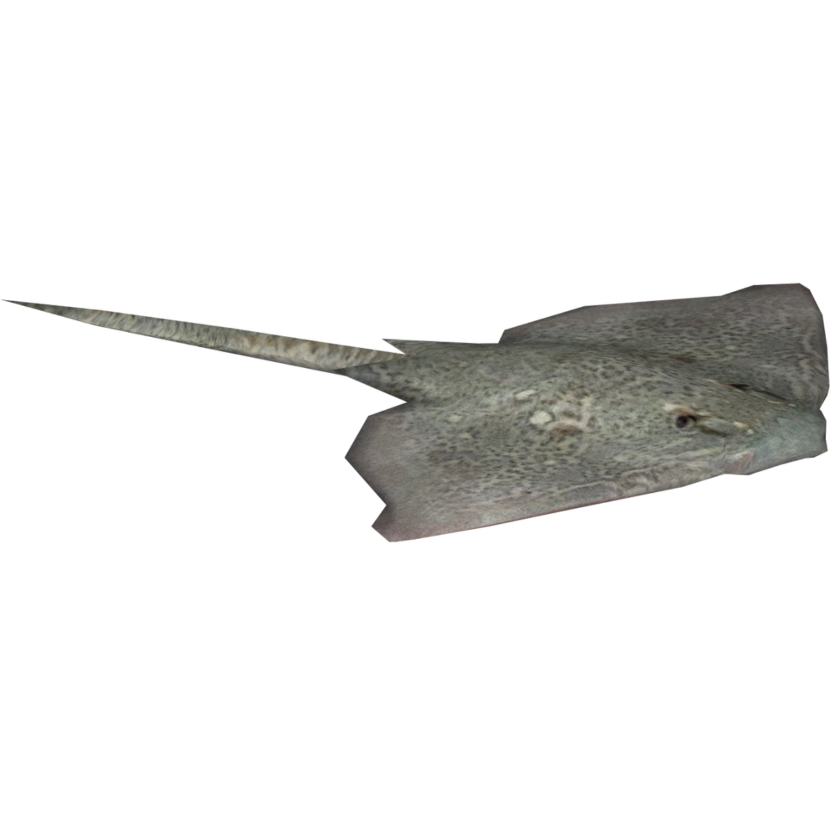 Thornback Ray (HENDRIX)/Version 1 | ZT2 Download Library Wiki | Fandom