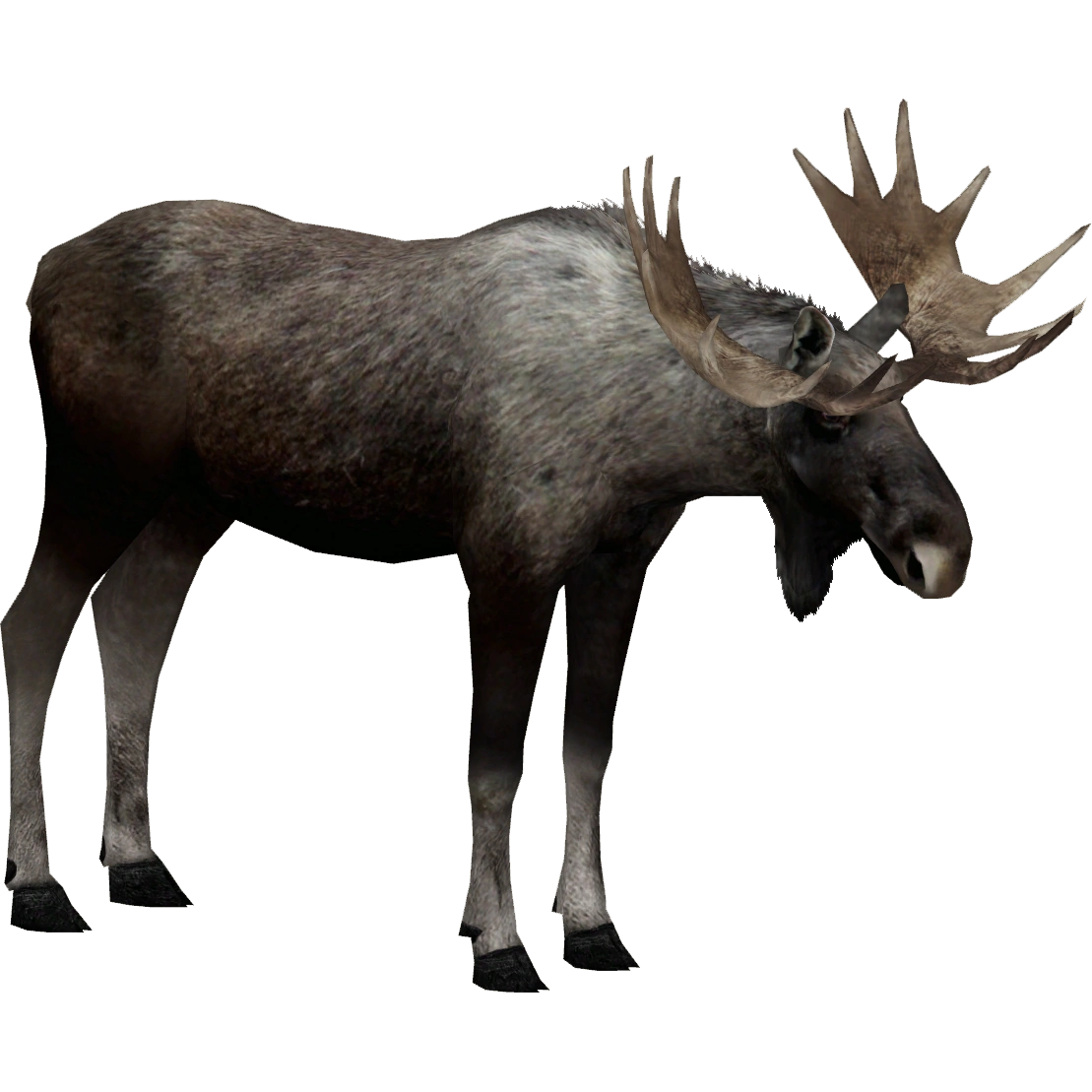 Eurasian Elk (Ulquiorra) | ZT2 Download Library Wiki | Fandom