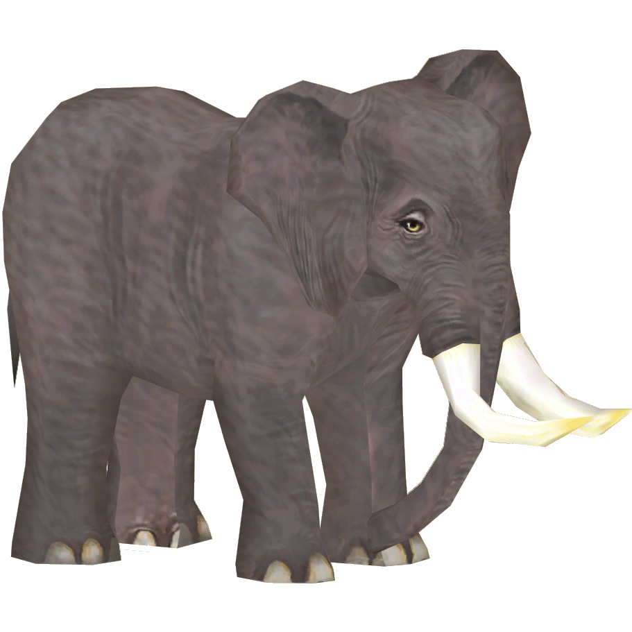 North African Elephant