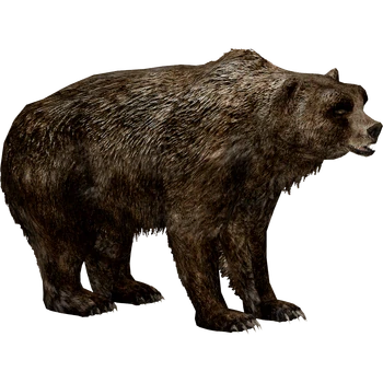European Cave Bear (Doc118) | ZT2 Download Library Wiki | Fandom