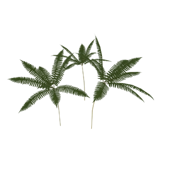 Phlebopteris (Panrex) | ZT2 Download Library Wiki | Fandom