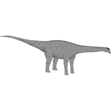 Rhoetosaurus