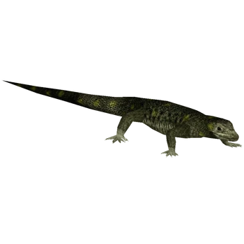 Hylonomus (Bunyupy) | ZT2 Download Library Wiki | Fandom