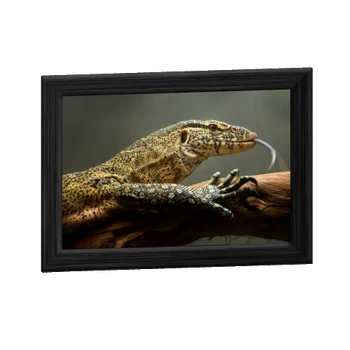 Framed Pictures (Zeta-Designs) | ZT2 Download Library Wiki | Fandom