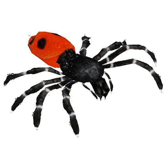 Ladybird Spider (Terrena Laxamentum) | ZT2 Download Library Wiki | Fandom