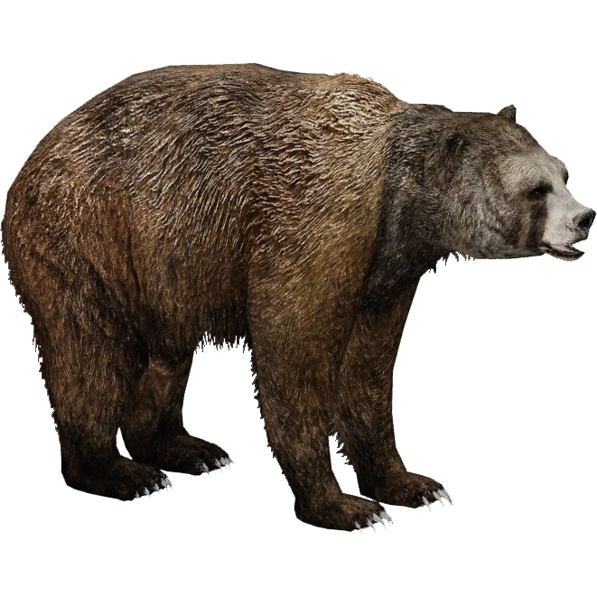 Short-Faced Bear (Eryel & Sam) | ZT2 Download Library Wiki | Fandom