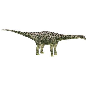 Borealosaurus (HENDRIX) | ZT2 Download Library Wiki | Fandom
